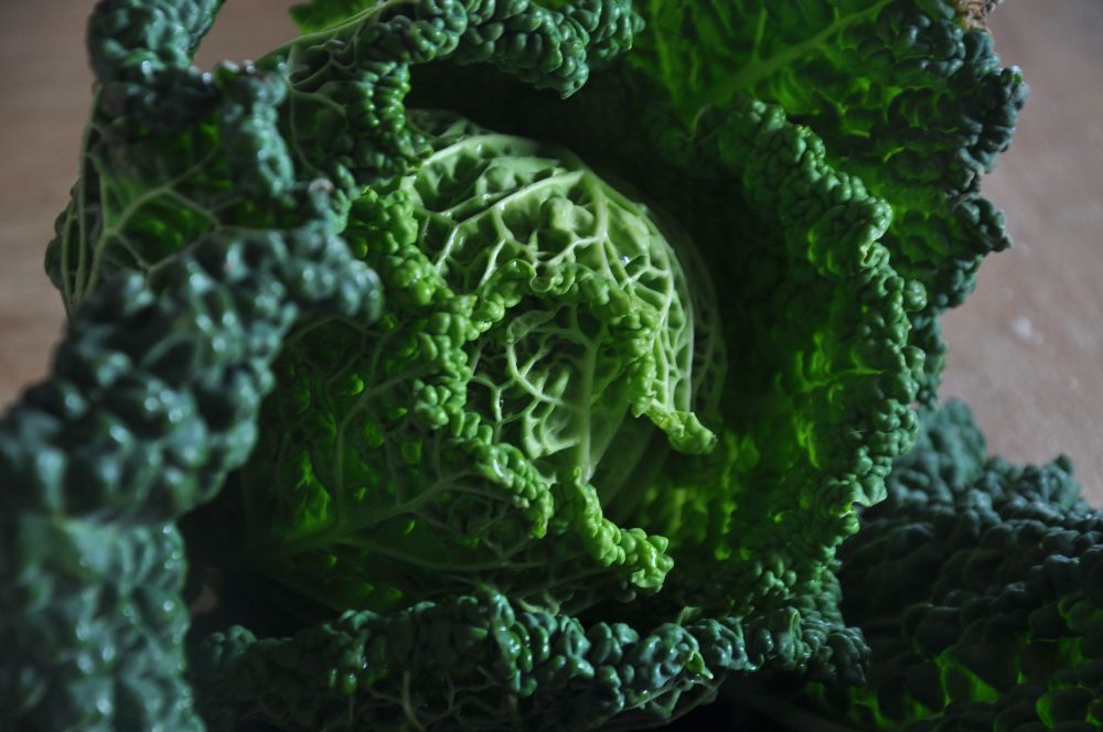 Cazzarielli con verza e fagioli – Lavanda Peperina